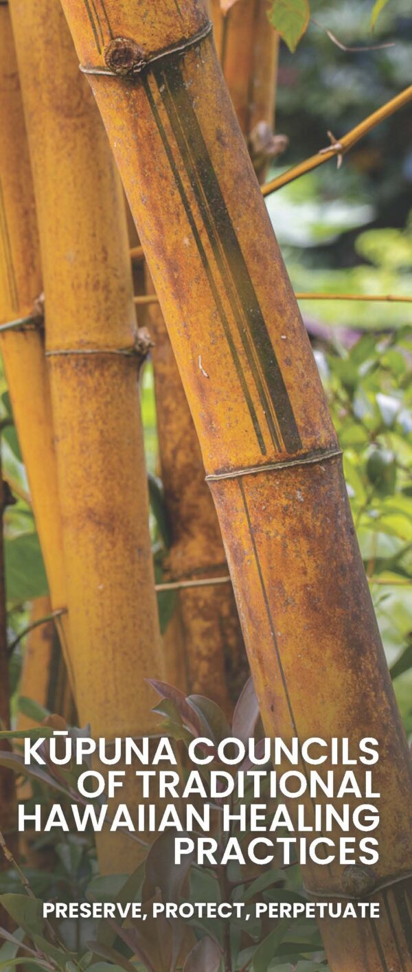 Traditional Healing & Kupuna Councils | Papa Ola Lōkahi